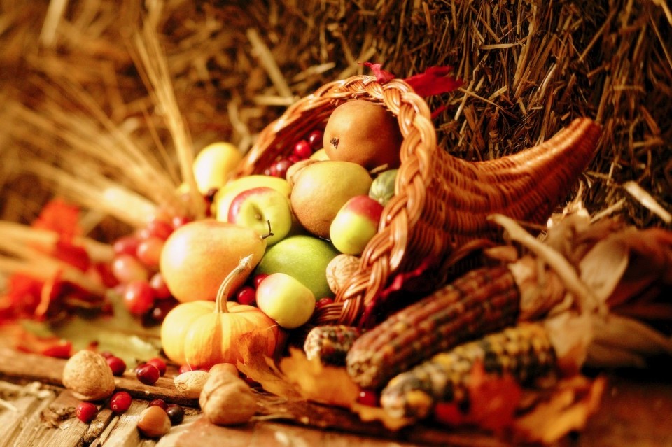 Fructele toamnei – sanatate aromata | HAI SA BUCATARIM!